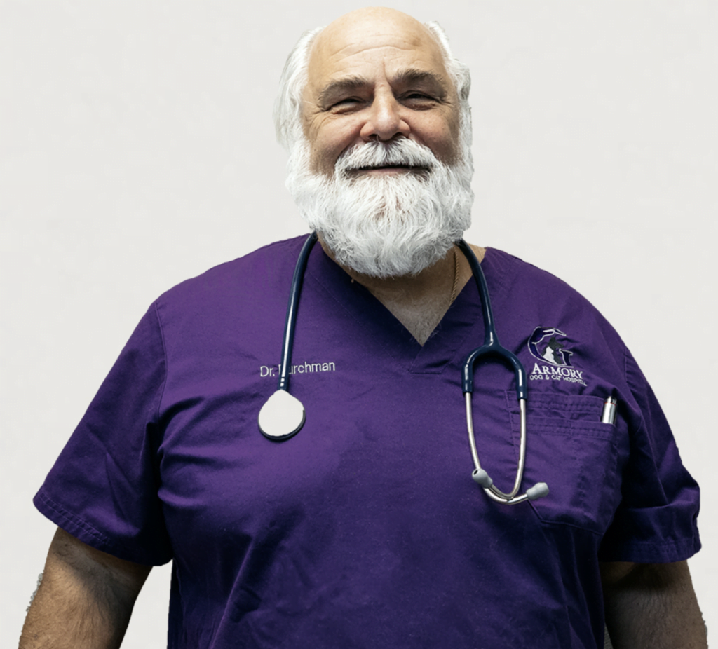 Home Page - Armory Dog and Cat Hospital