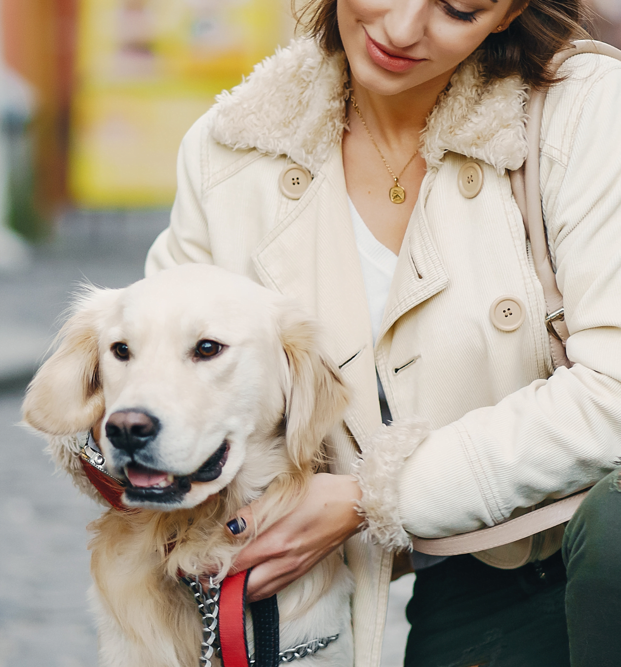 Veterinarian in Bronx, NY | Armory Dog and Cat Hospital | Call Now